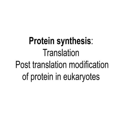 TRANSLATION (Protein synthesis) presentation.pdf