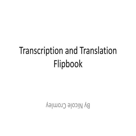 Transcription and translation flip book | PPTX
