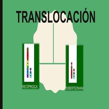 Translocación: intercambio ADN cromosomas | PPT