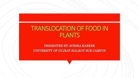 Source and sink relationship pptx.pptx | Gardening | Home & Garden