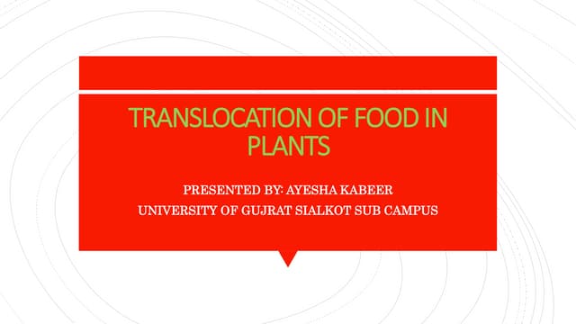 Translocation in plants | PPTX