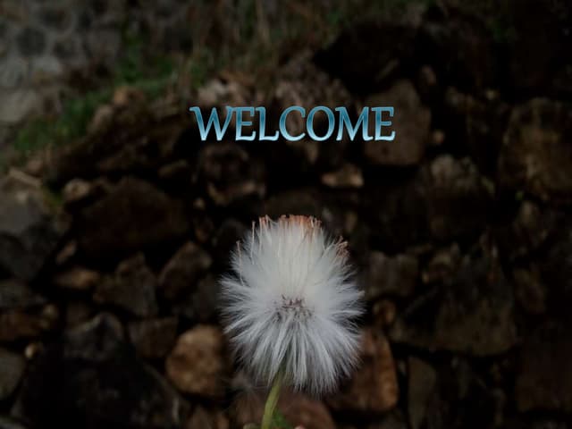 Theories of stomatal movement | PPTX