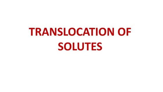 Source and sink relationship pptx.pptx | Gardening | Home & Garden