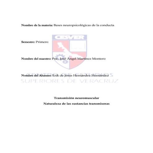 Transmision neuromuscular | DOCX