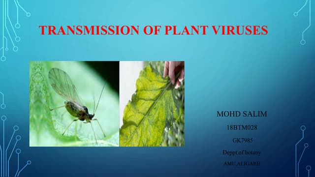 Classification of plant viruses | PDF