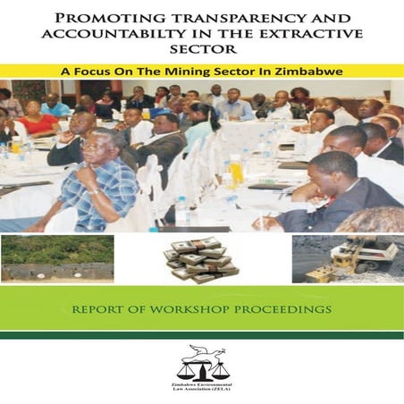 Traditional leaders act summary | PDF