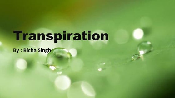 Transpiration and transpirational pull | PPTX | Gardening | Home & Garden