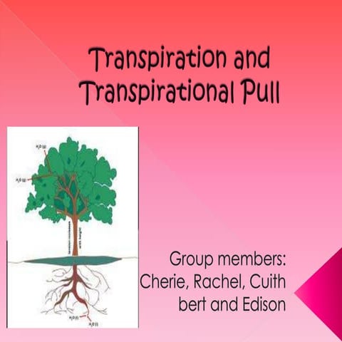 Transpiration and transpirational pull | PPTX | Gardening | Home & Garden
