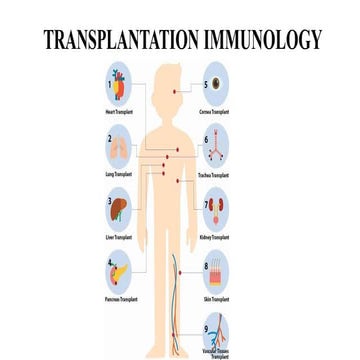 transplantation immunology: an overview.pptx