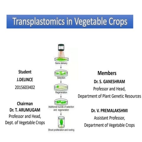 Transplastomics in Vegetable Crops.pptx