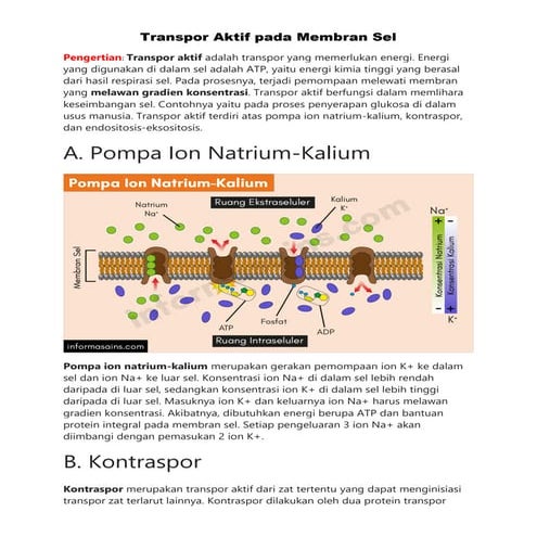 Transpor Aktif pada Membran Sel BIOLOGY | PDF