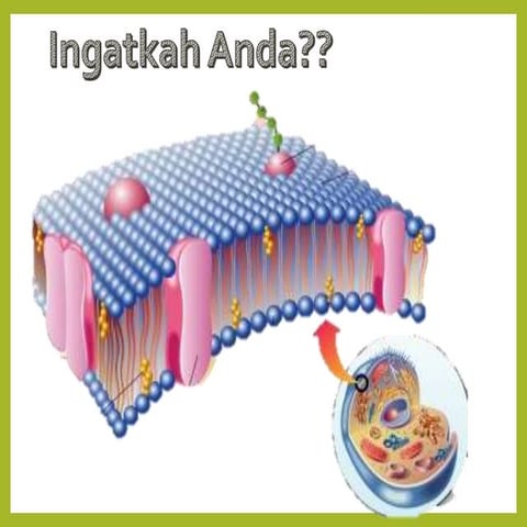 Transpor membran sel | PPTX