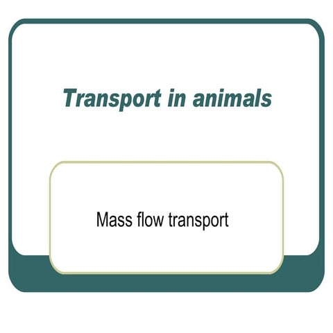 Transport In Animals | PPT