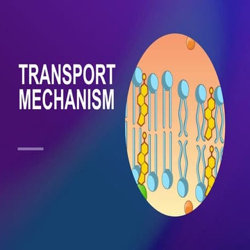 TRANSPORT-MECHANISM grararararararr.pptx
