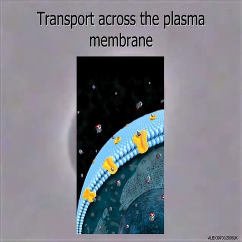 Transport across plasma membrane | PPT