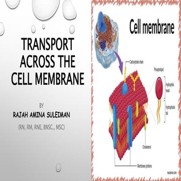 Transport across the cell membrane | PPT