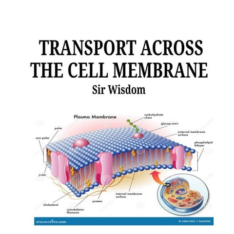 Comprehensive Overview of Cell Membrane Structure and Transport ...