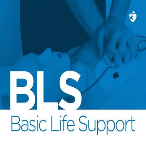 TRANSPORTASI NEW.ppt bbbbbbbbbbbbbbbbbbbbbbbbbbbb | PPT