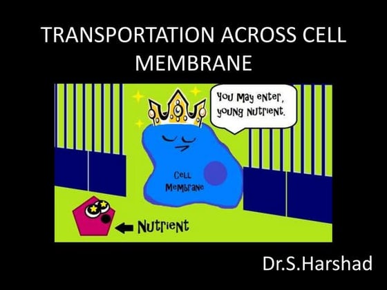Active and passive transport | PPT
