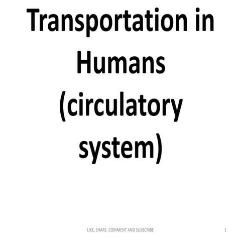 Transportation in humans (part 1) grade 7 notes | PPTX