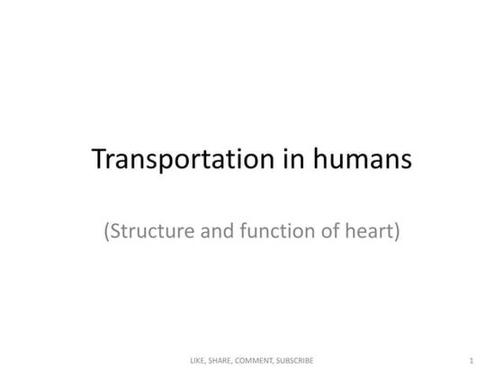 Respiration in humans grade 7 notes | PPTX