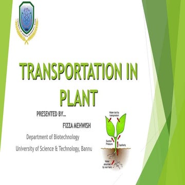 Transportation in plant | PPT