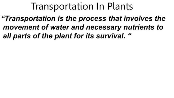 Components of xylem and phloem | PPT