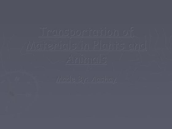 Transport in plants | PPT