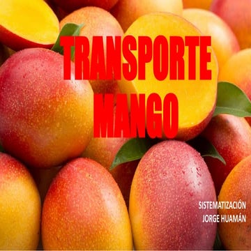 Transporte mango