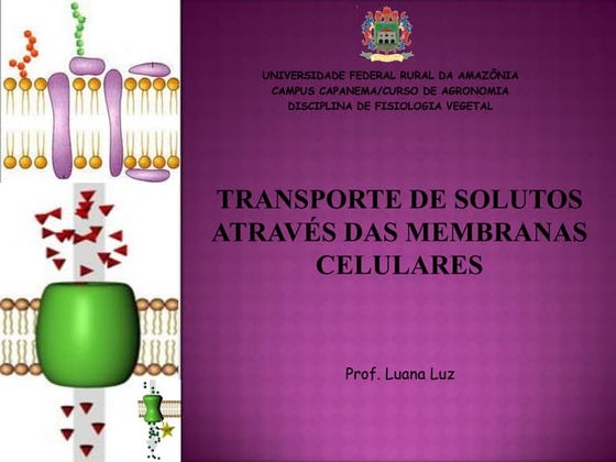 Transportadores abc | PPT
