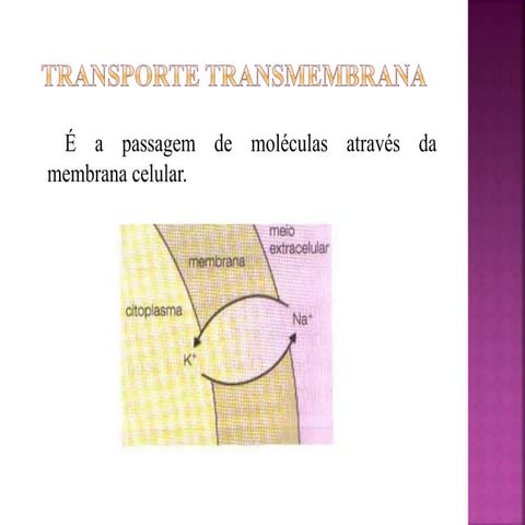 Transporte transmembrana | PPTX