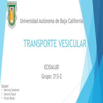 Transporte vesicular | PPTX