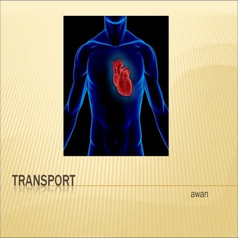 Grade 11 - Transport in Animals | PPT