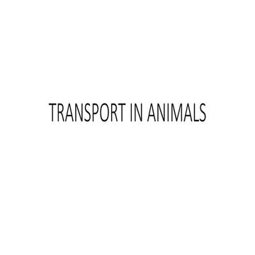 TRANSPORT IN ANIMALS biology cambridge igcse | PPTX
