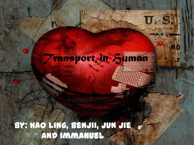 VMware Bulgaria | PPTX