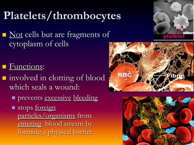 Human Platelets Clotting