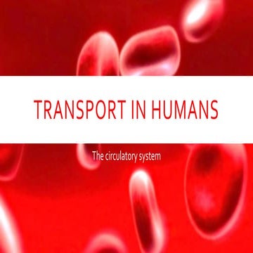 Transport in humans | PPTX | Heart and Cardiovascular Diseases ...