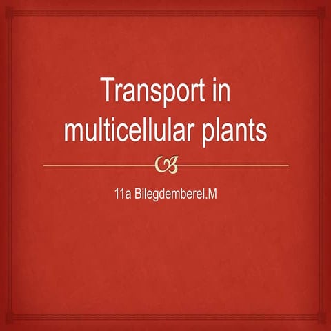 Transport in plants | PPTX