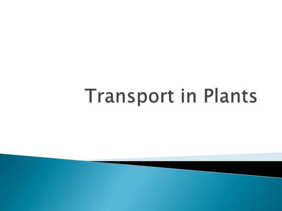 Transport in plants | PPTX | Chemistry | Science