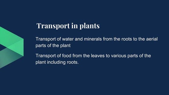 Transport_Systems_in_Plants for the 8th grade.pptx