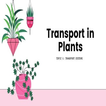 Transport in Plants.pptx