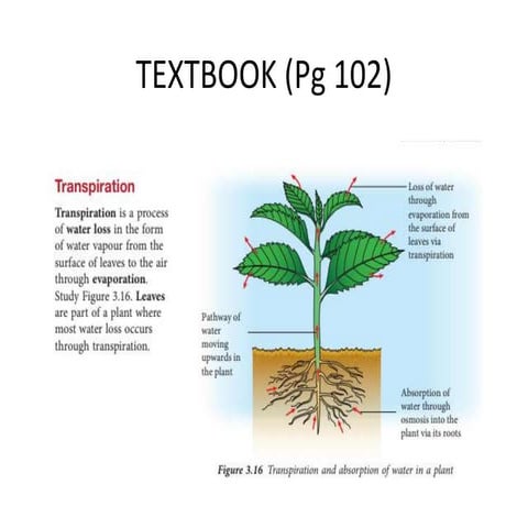 plant water relation, transpiration, root pressure and transpirational ...