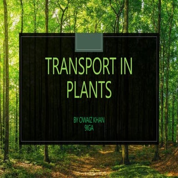 Transport in plants | PPTX