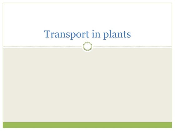 Transport in plants | PPTX | Chemistry | Science