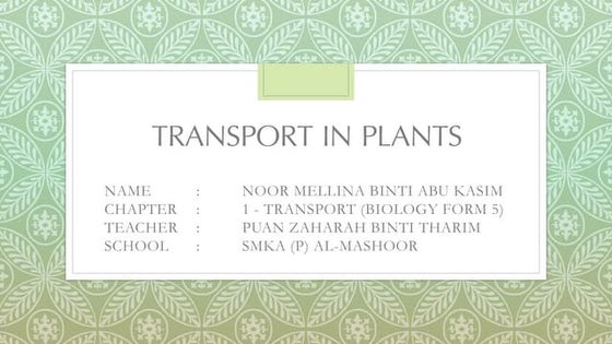 Transport_Systems_in_Plants for the 8th grade.pptx