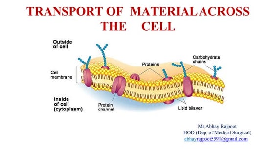 Transport mechanism | PPT | Chemistry | Science