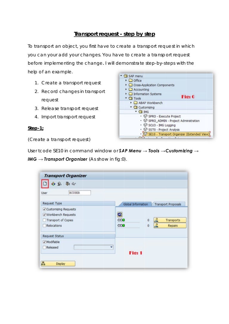 SAP Transport System; Step-by-step guide from concept to practical