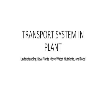 Chapter 14: TRANSPORT SYSTEM IN PLANT (8th grade) | PPTX