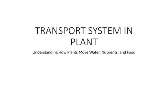 Transport_Systems_in_Plants for the 8th grade.pptx