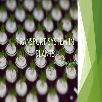Transport system in plants | PPTX